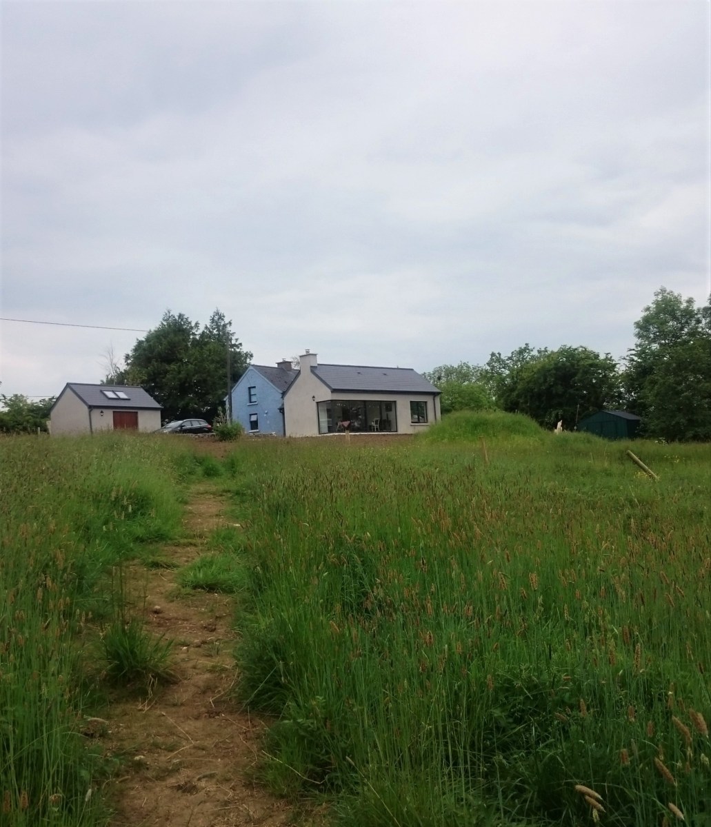 Roscommon House – Sara Connolly Architect MRIAI